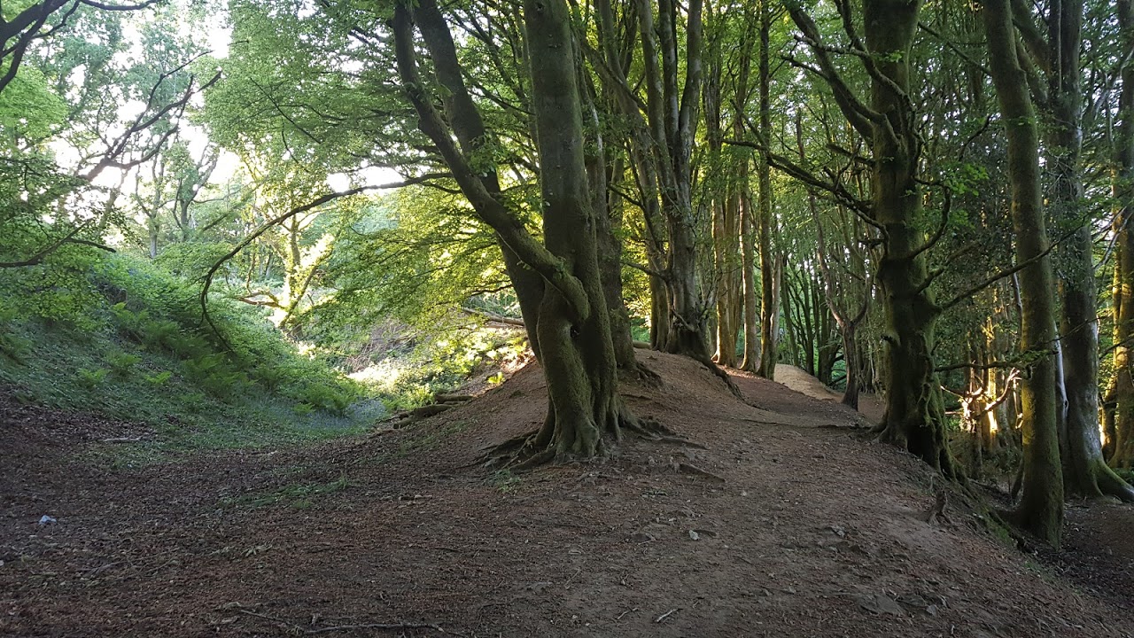 Historic Hill Forts - Hill Forts in Devon | Forest Glade Holiday Park