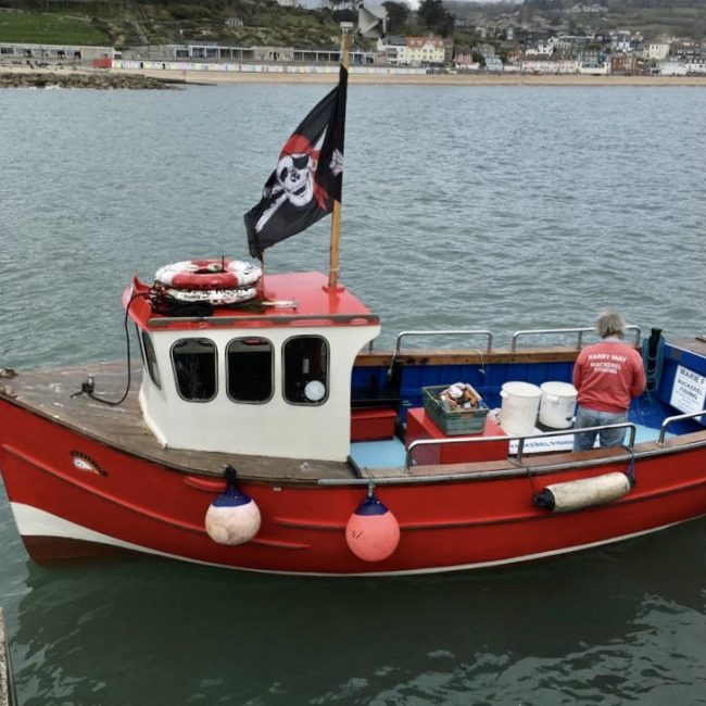 Lyme Regis - A Great Day Out! - Forest Glade Holiday Park