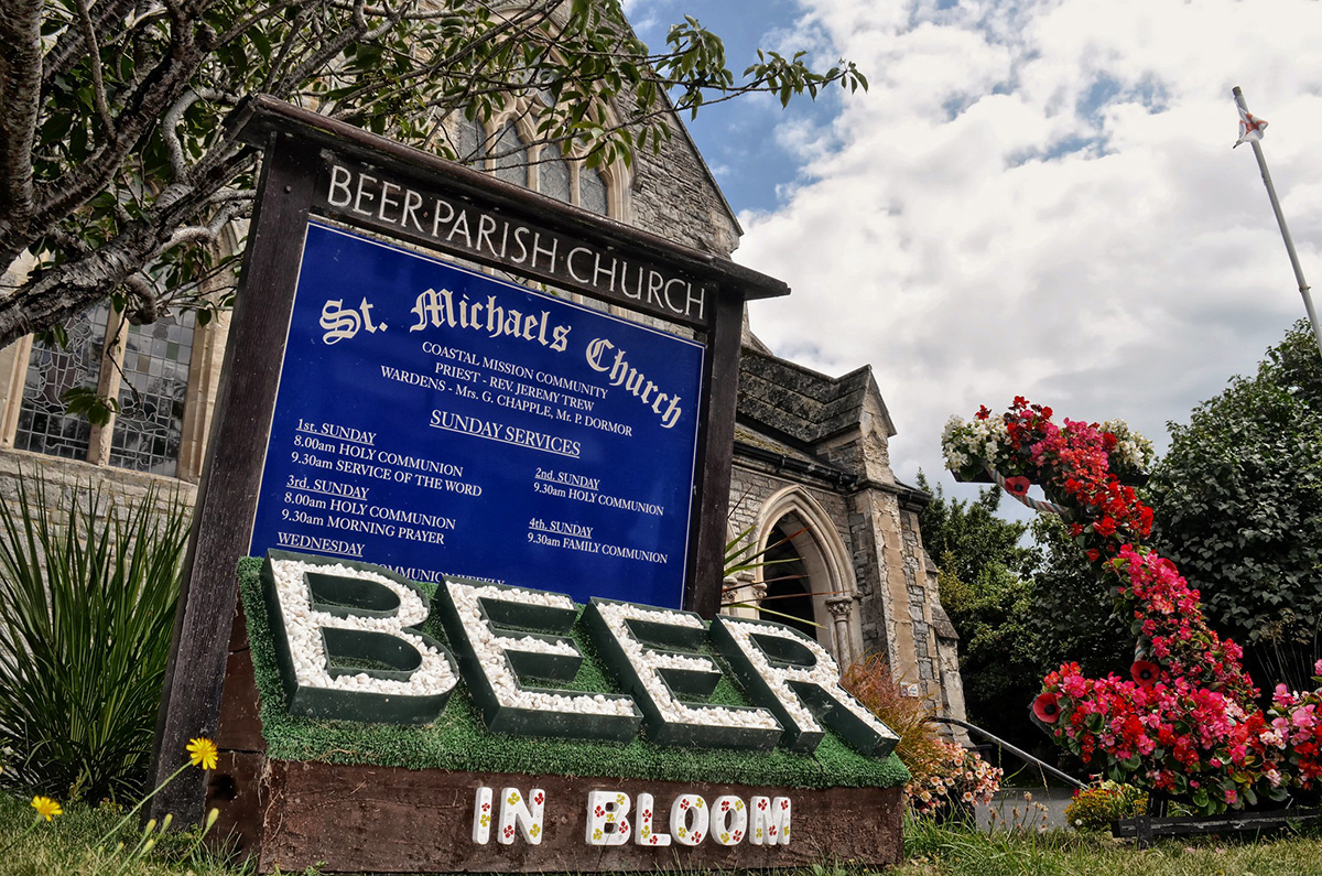 A Day Out In Beer, Devon | Things to Do | Forest Glade