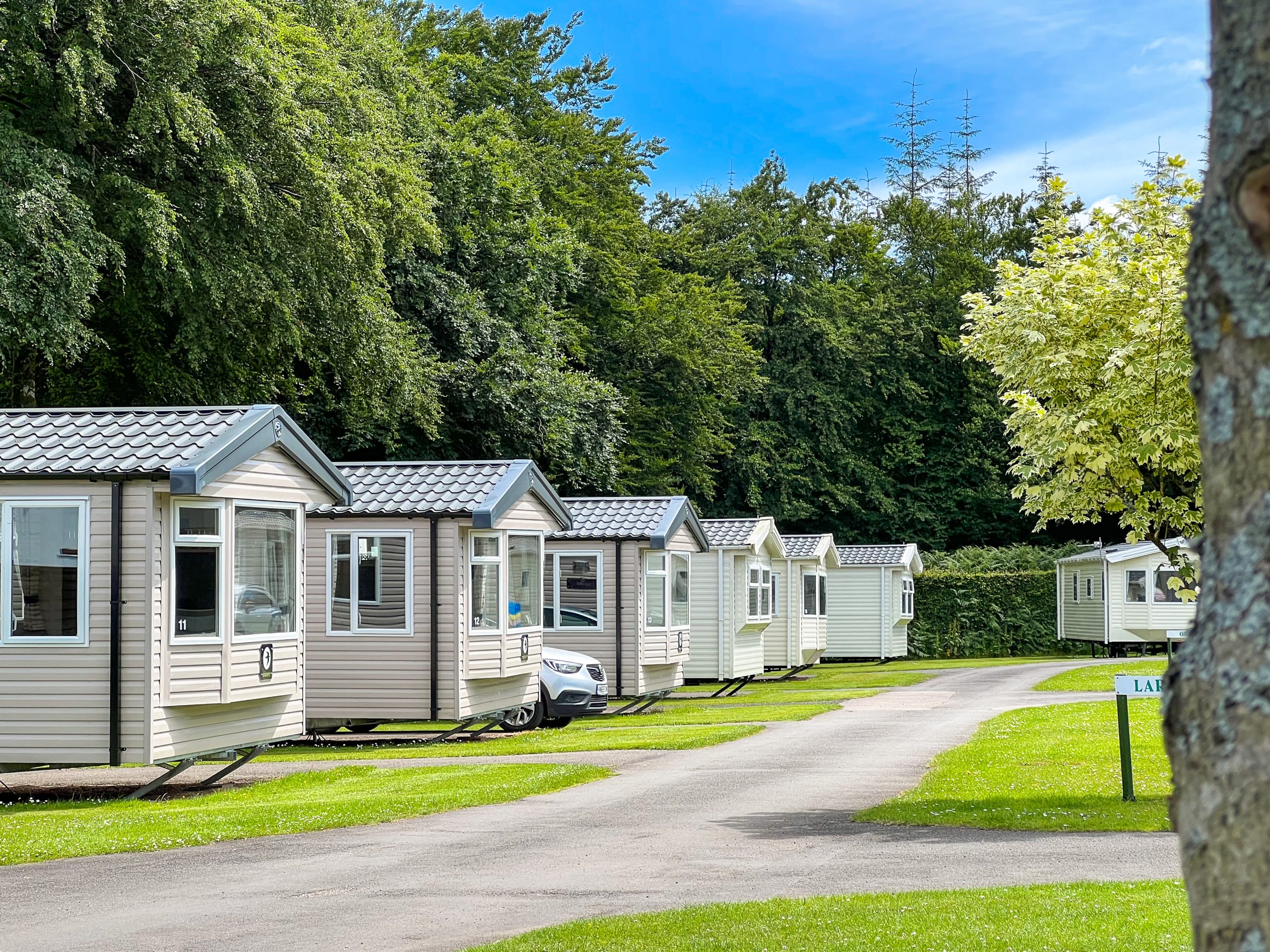 Devon Holidays Special Offers - Forest Glade Holiday Park
