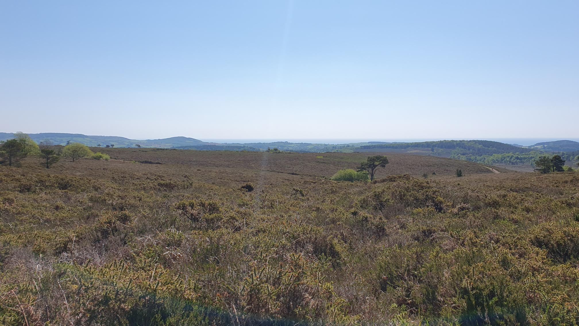 The East Devon Way and other walks - Forest Glade Holiday Park