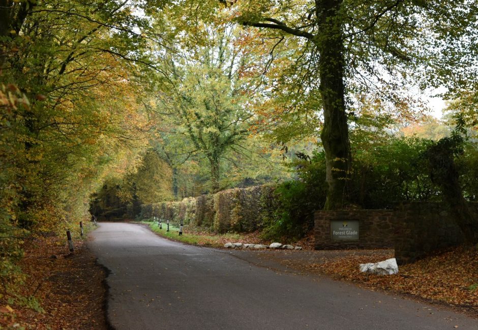 Autumn Holiday in Devon - Forest Glade Holiday Park